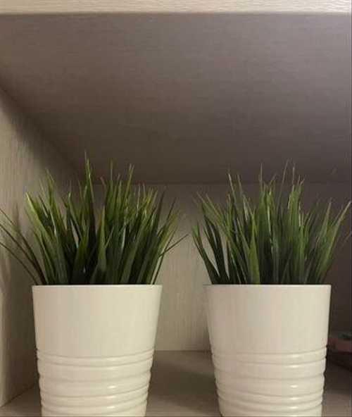 Искусственные растения IKEA