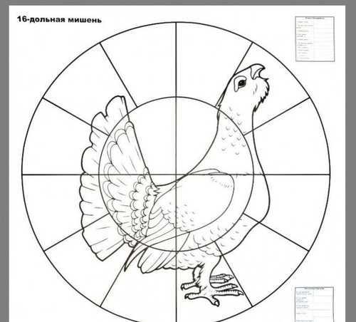 Мишень для пристрелки дробовых ружей 16-дольная