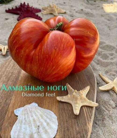 Семена томата Алмазные ноги Коллекционный