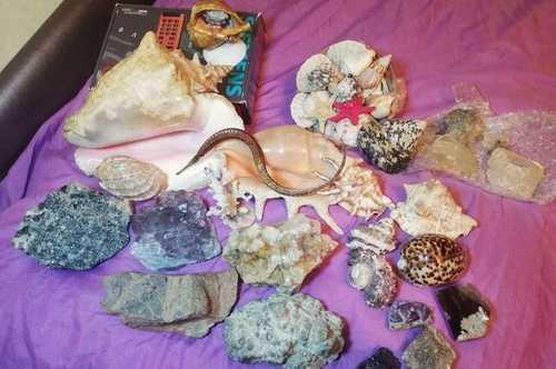 Камни, минералы, кристаллы, раковины, ракушки
