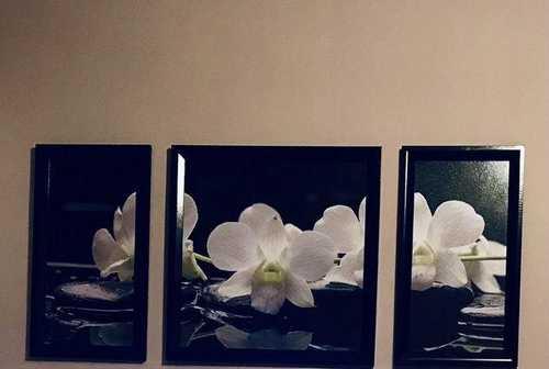 Картина триптих большая «орхидея»