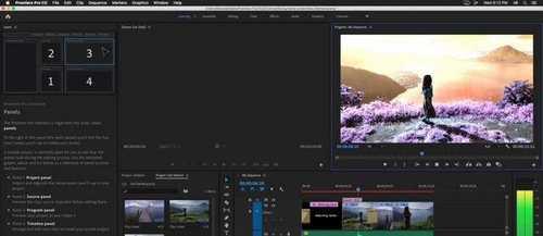 Adobe Premiere pro