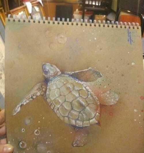 Картина черепаха