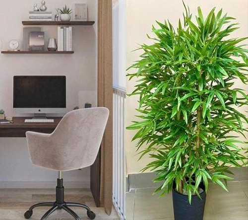 Латексный Бамбук - искусственный растение цветок