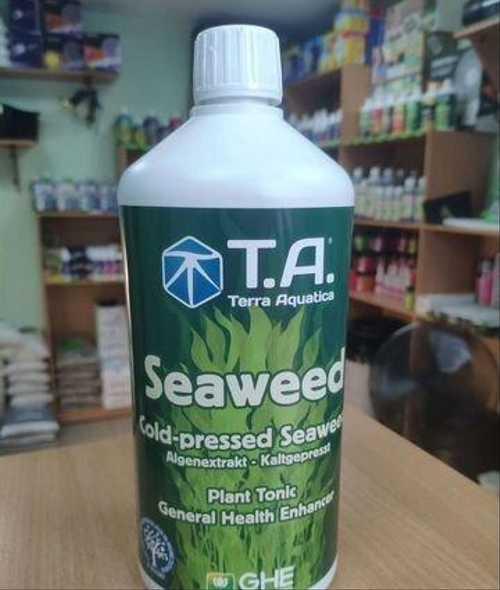 Seaweed Terra Aquatica