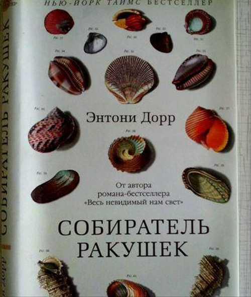 Собиратель ракушка аудиокнига. Энтони Дорр собиратель ракушек. Собиратели ракушек книга. Коллекционер ракушек. Обложка книги собиратели ракушек.