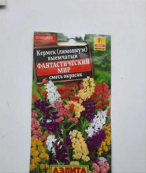 Семена цветов Кермек лимониум 0,1 г