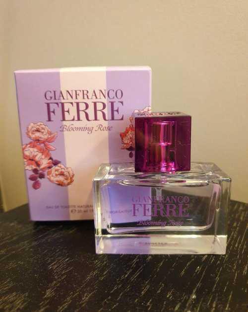 Gianfranco ferre blooming rose