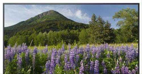 Ultra HD (4K) LED телевизор 55" Sony KD-55XF7096
