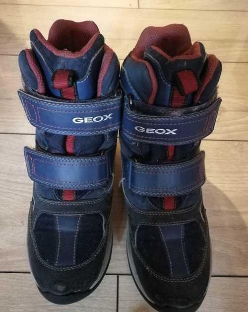 Сапоги Geox 34,5 р