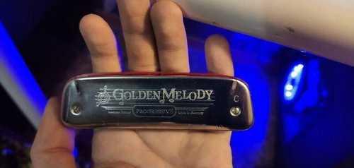 Губная гармошка hohner Golden Melody 542/20 C