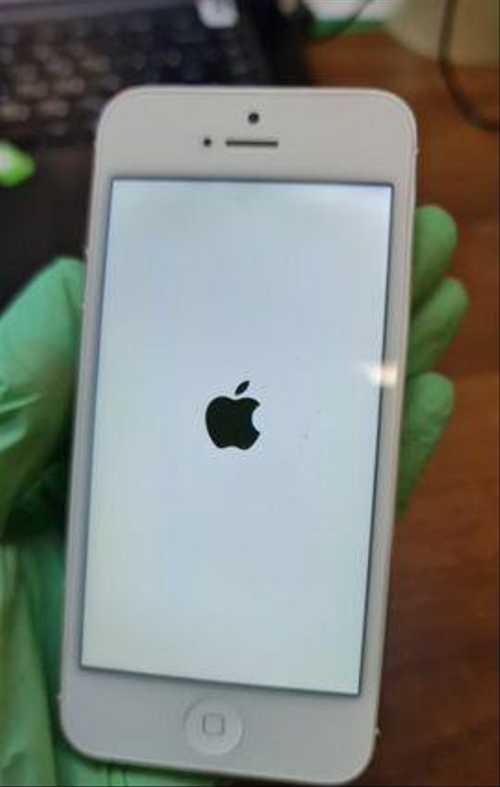 iPhone 5 A1429