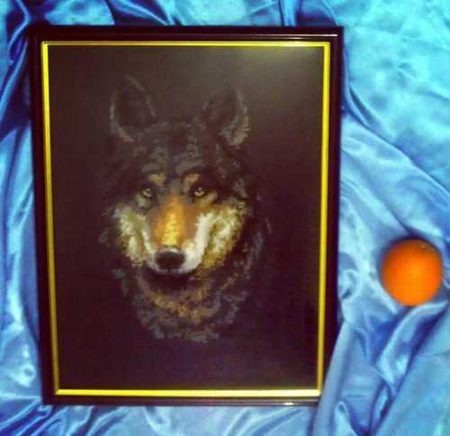 Волк: Картина, вышитая крестиком 45х35 см
