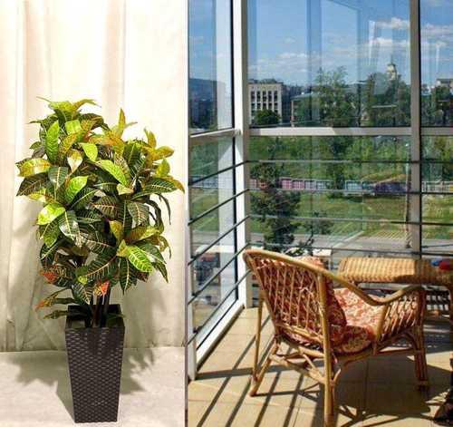 Кротон кустовой - искусственное растение