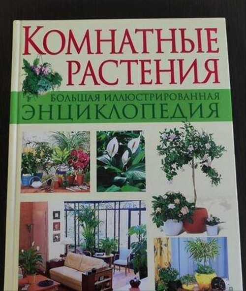 Книги Комнатные растения, Цветы на Вашем участке