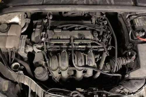 Форд фокус двигатель 105 л. Двигатель Форд фокус 3 1.6 105. Фокус двигатель 1.6 105. Двигатель фф3 1.6 125 л.с. Капремонт Форд фокус 3 1.6 105.
