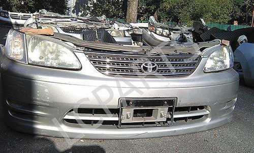 Ноускат Toyota Corolla Spacio