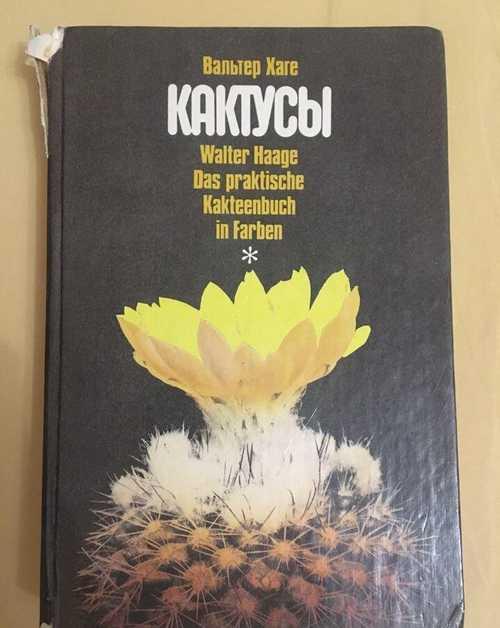 Кактусы