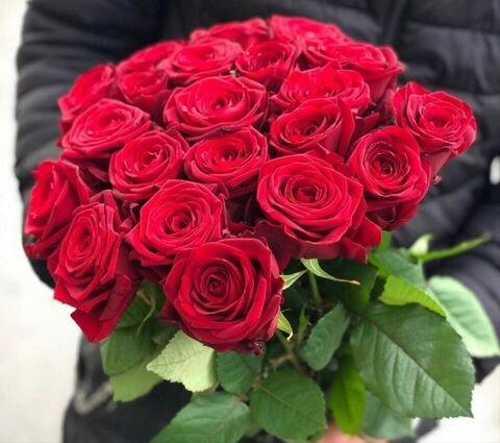 Розы Цветы Доставка 25 шт
