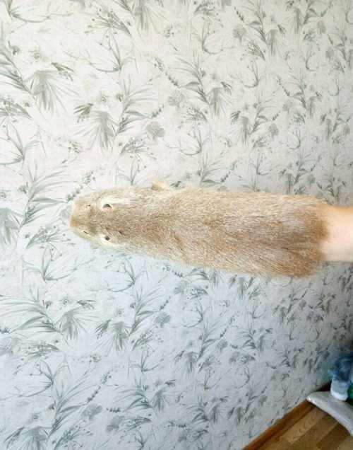 Мех
