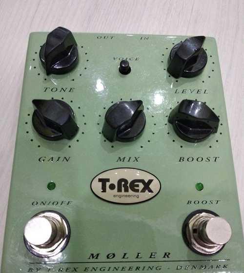 T Rex Moller