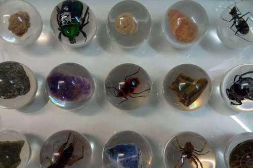 Коллекция чудеса природы de Agostini