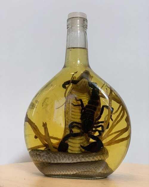 Змея со скорпионом в бутылке