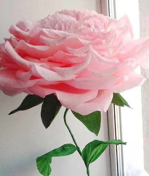 Пионовидная роза из гофрированной бумаги