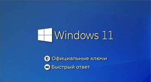 Windows 11 oem