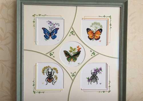 Картина. Коллекция насекомых (бабочки жуки)