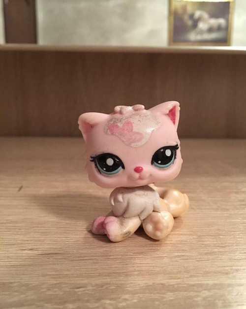 LPS кошка