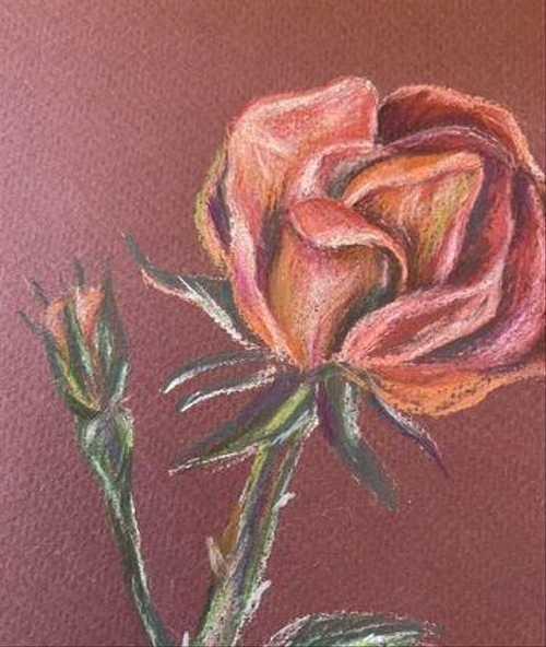 Картина карандашами Роза