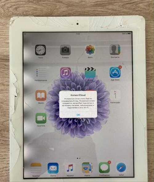 iPad