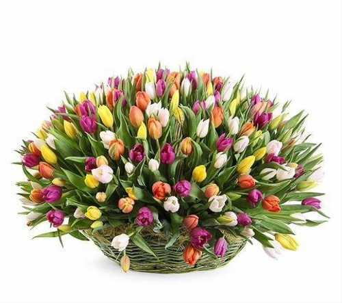 Купить цветы, букеты на 8 марта с доставкой в спб