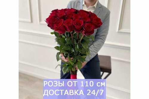 Розы гиганты 140 150 160 170 180 200 см