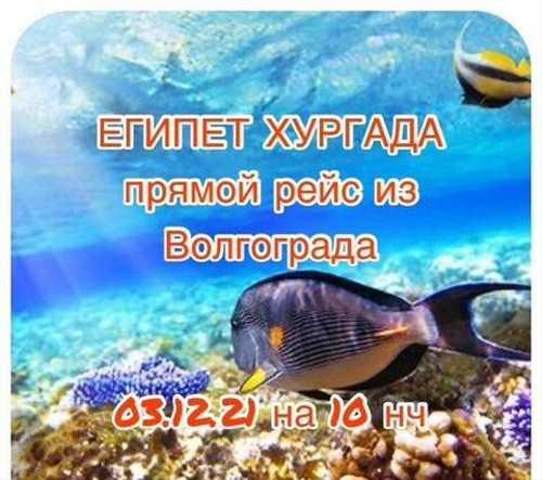 Египет Хургада из Волгограда 03.12 на 10 нч