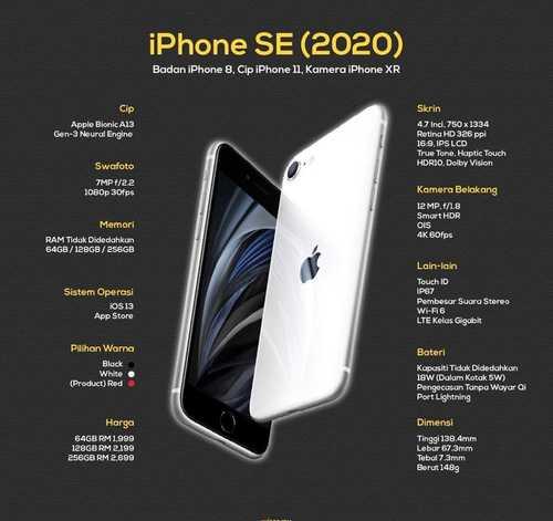 Стр 2020. Iphone se 2020 Размеры. Айфон se 2020 характеристики. Айфон se 2020 процессор. Iphone se 2020 характеристики.