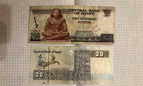 Перевод египетских фунтов. 5 Египетских фунтов. Фото египетские фунты и Пикассо.