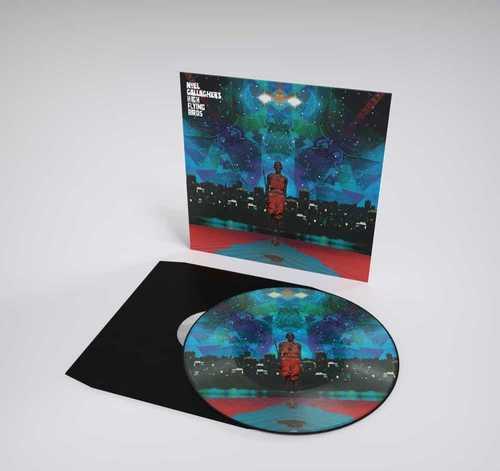 Noel Gallaghers Birds - This Is The Place (Single)