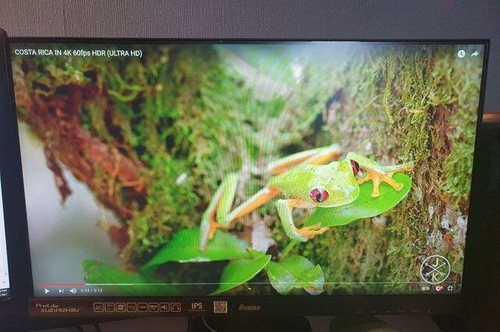 Монитор Iiyama xu2492hsu 24" FullHD IPS