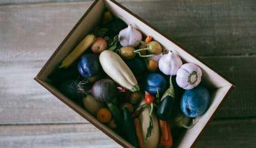 Овощи из полимерной глины
