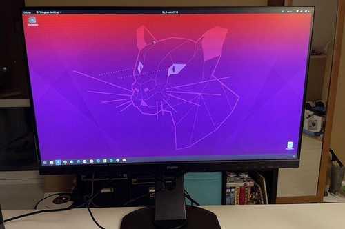 Монитор iiyama 24.5" 144Hz