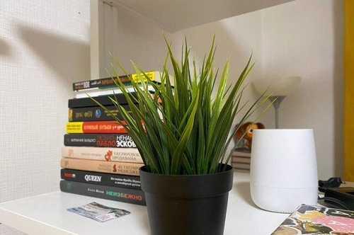 IKEA искусственное растение fejka фейка