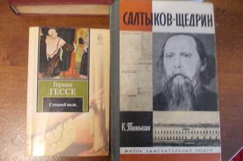 Книги, жзл, Гессе, Булгаков, Сорокин, словарь