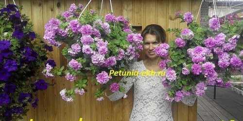 Сурфиния