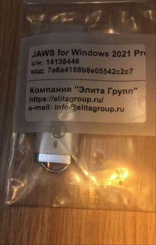 Jaws for Windows 2021 pro