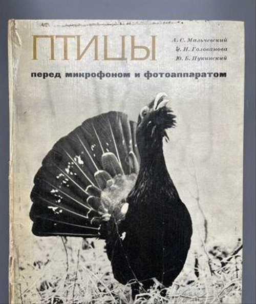 Книга о птицах редкое издание