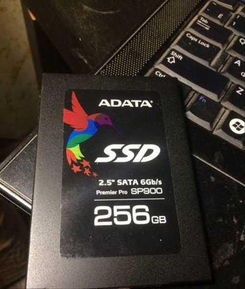 SSD 256 Gb adata SP900 6Gb/s