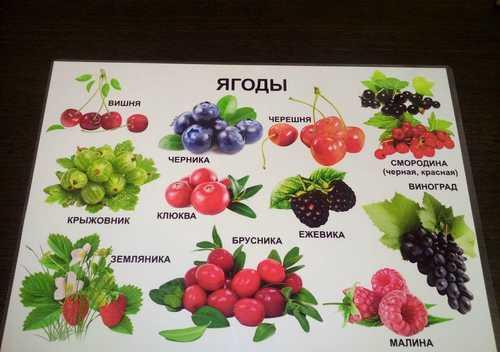 Развивающие плакаты