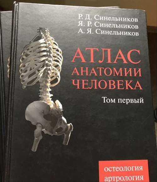 Атлас анатомии Синельников. Атлас анатомии человека 4 Тома. Атлас анатомии человека Синельников. Атлас анатомии человека Синельников 1 том.